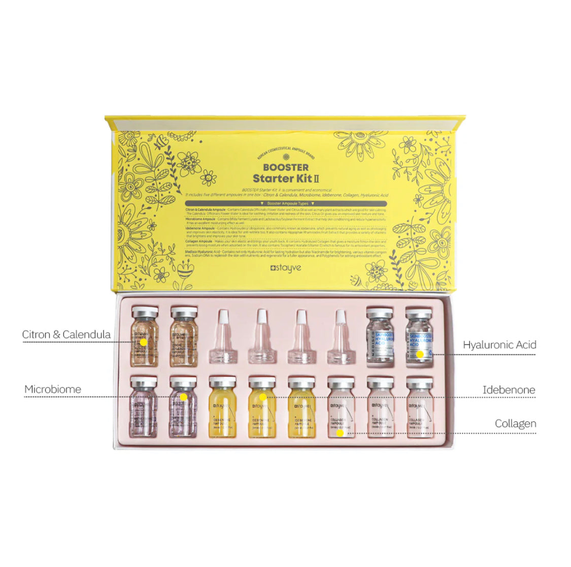 Stayve Booster Ampoule Starter Kit II Serum – STAYVEUSA