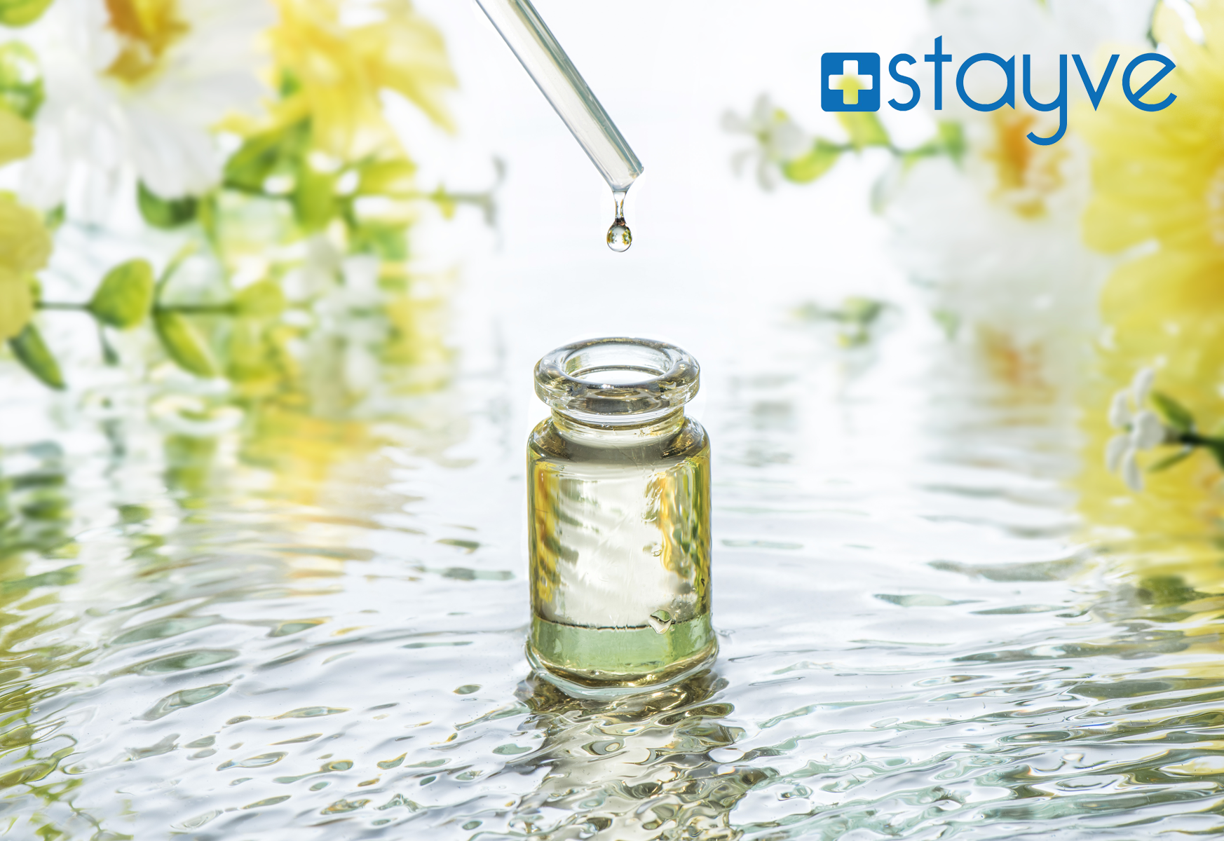 STAYVEUSA - Official Stayve Distributor